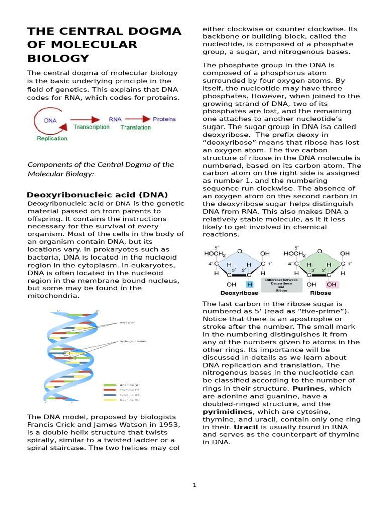 Central Dogma of Molecular Biology | PDF | Dna | Genetic Code