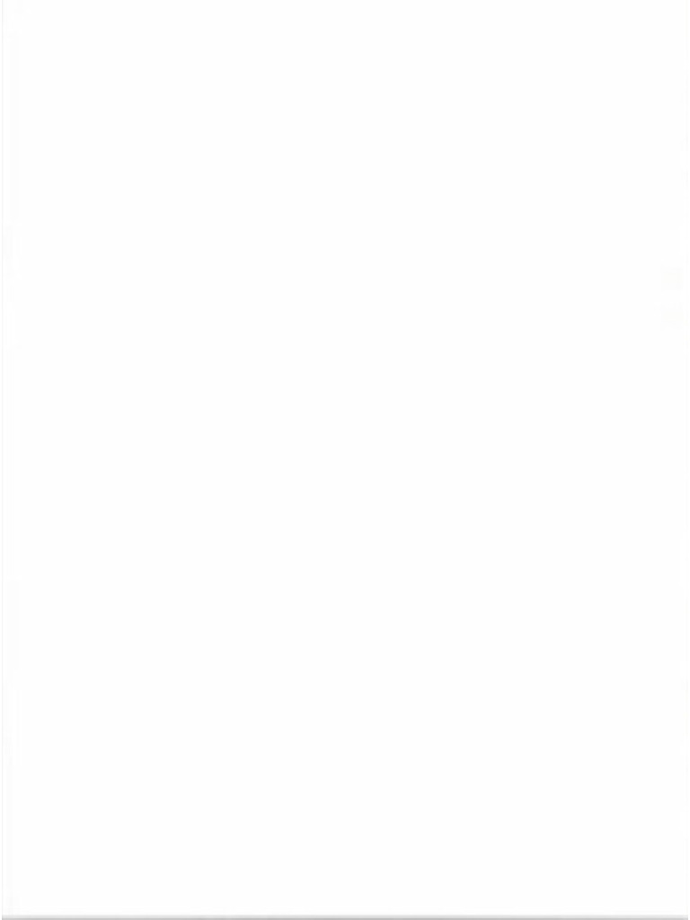 Blank PDF | PDF
