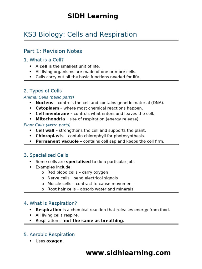 KS3 Biology: Cells & Respiration Notes | PDF | Cellular Respiration ...