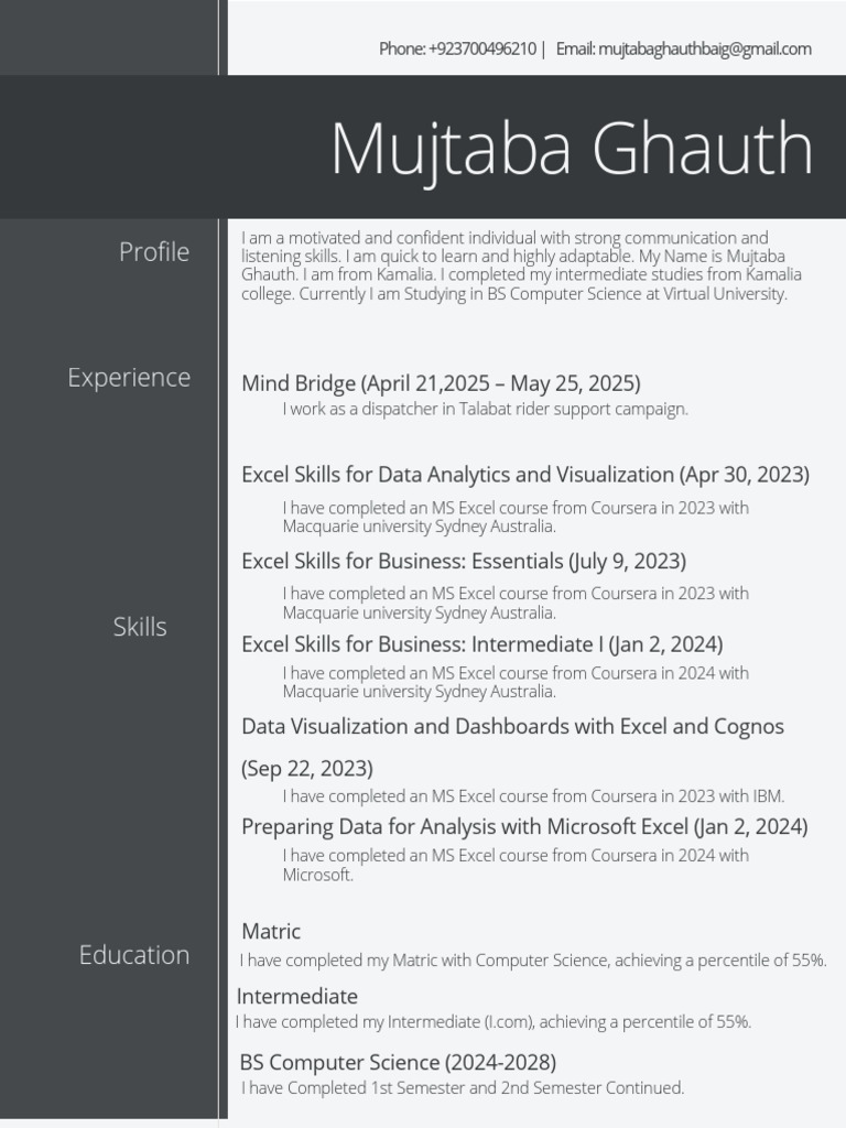 Mujtaba Ghauth's Profile and Skills | PDF