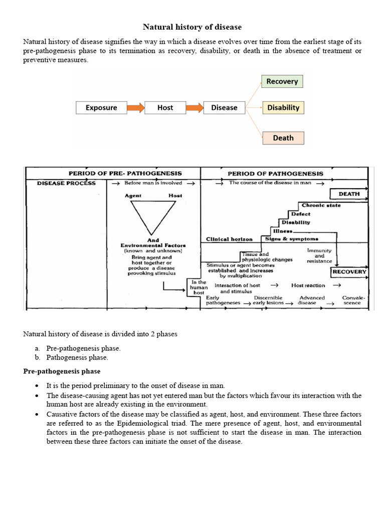 Understanding Disease Evolution Phases | PDF