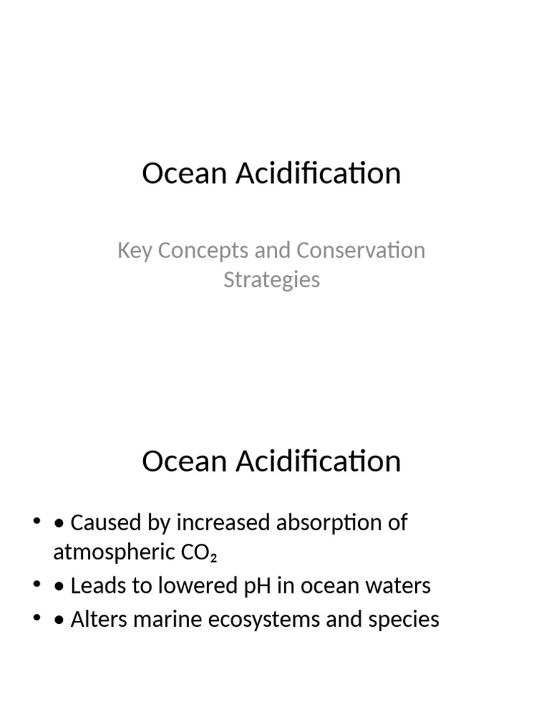 Ocean Acidification Presentation | PDF