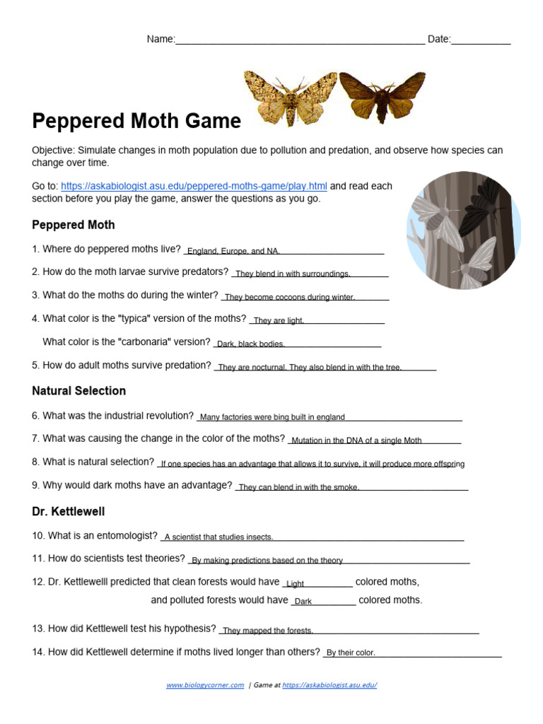 Peppered Moth Game 1 | PDF