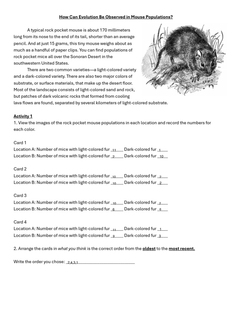 Rock_Pocket_Mouse_Labdnhdjidjdijdjijrjdf | PDF | Adaptation | Mouse