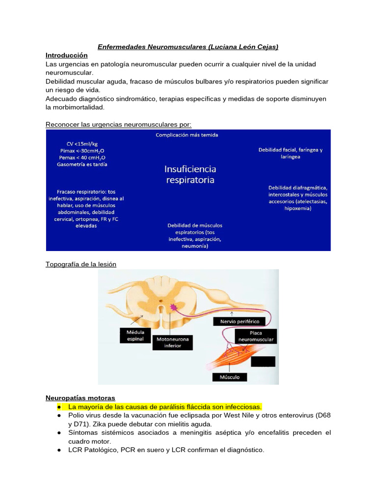 Enfermedades Neuromusculares (Luciana León Cejas) | PDF | Enfermedades ...