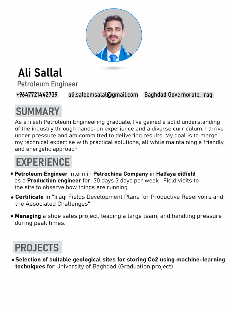 Ali CV | PDF
