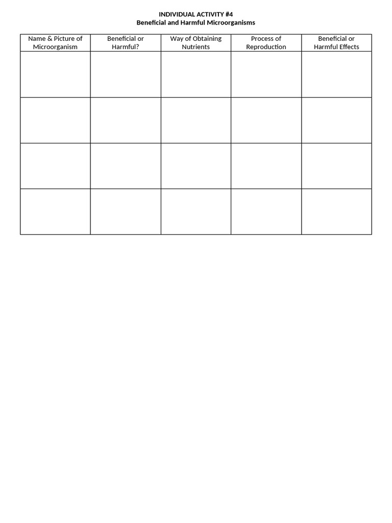 Individual Activity 5 | PDF