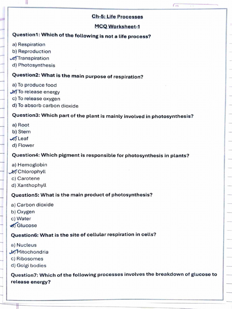 Life Processes WorkSheet - Aarav Tanwar XB | PDF | Blood | Cellular ...
