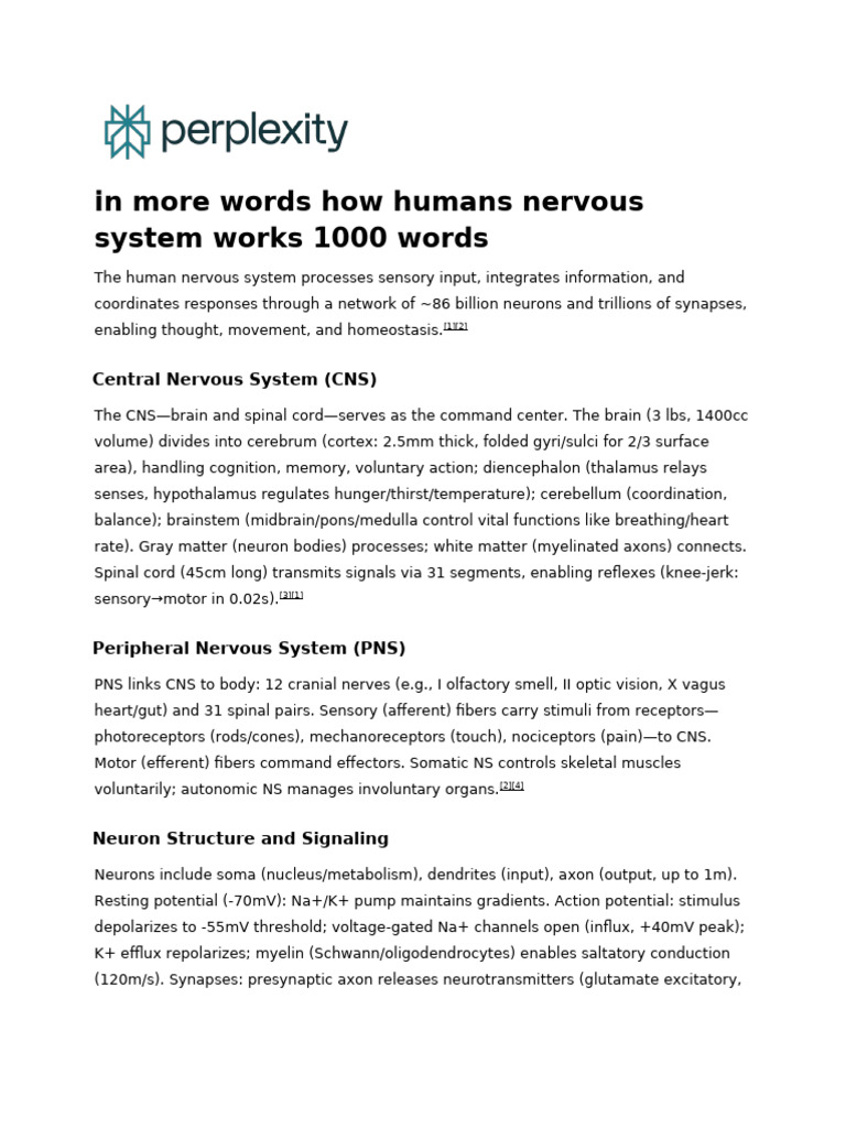 In More Words How Humans Nervous System Works 1000 | PDF | Central ...