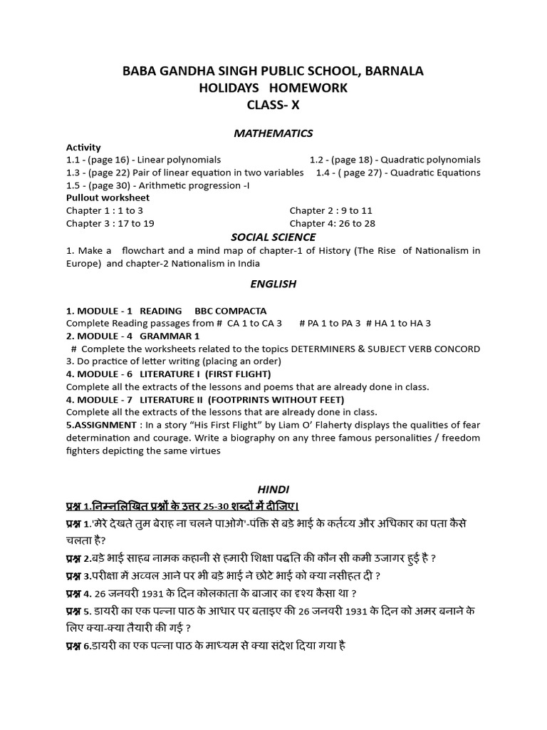 Holiday Homework X | PDF