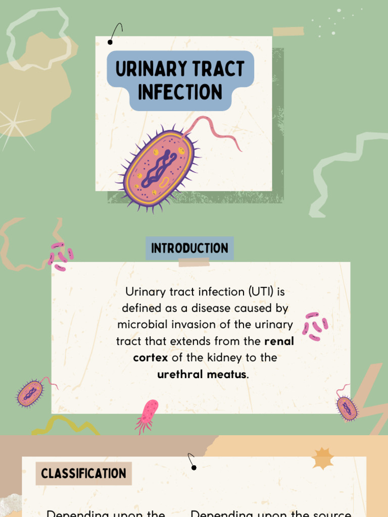 Uti | PDF | Urinary Tract Infection | Immunology