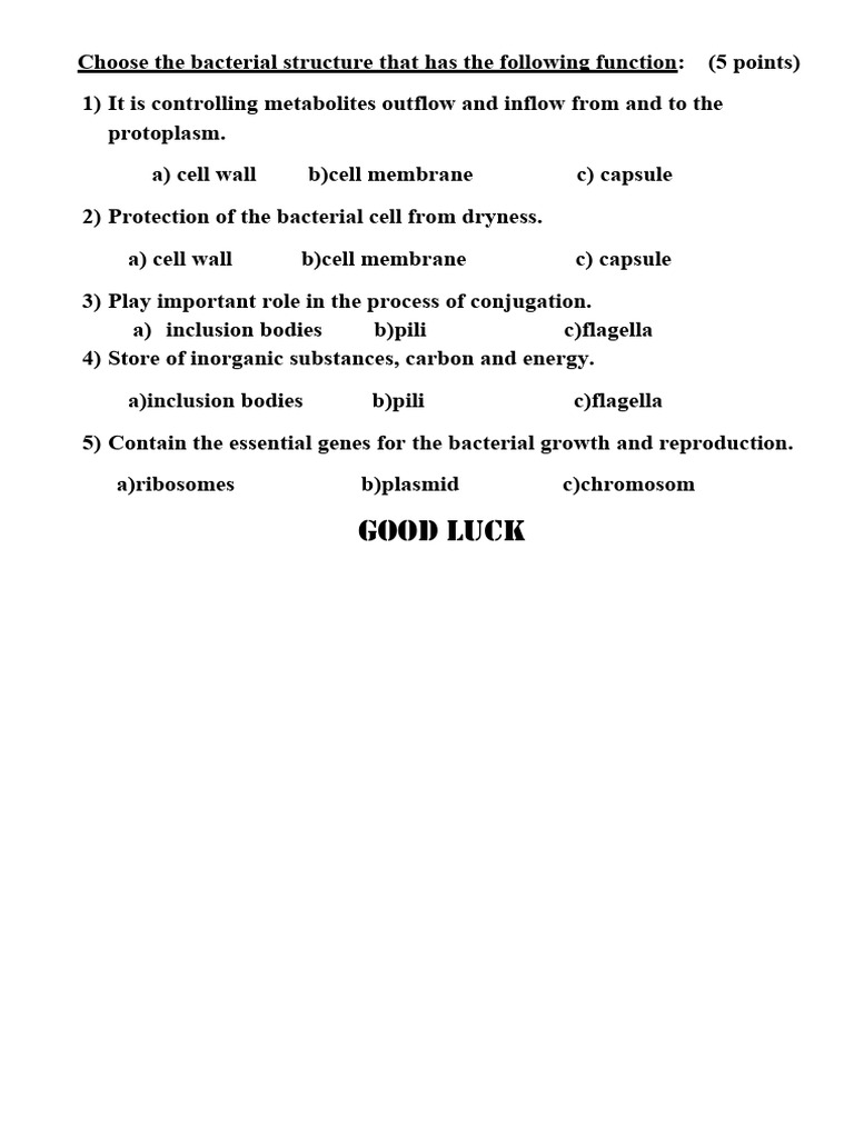DR Amany Assignment1 | PDF