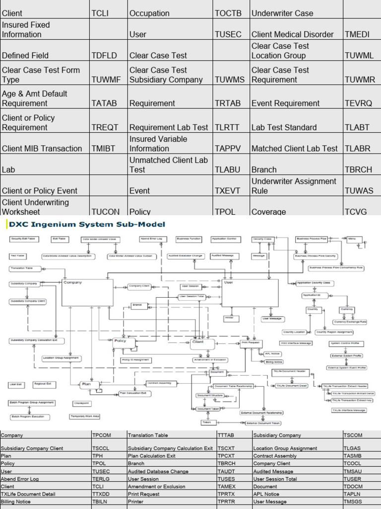Basics of INGENIUM Merged 7 | PDF | Underwriting | Software Engineering