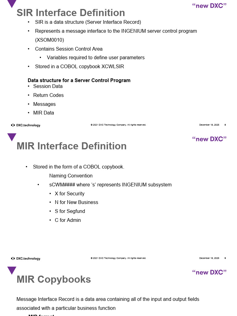 SIR and MIR Interface Definitions in COBOL | PDF | Parameter (Computer ...