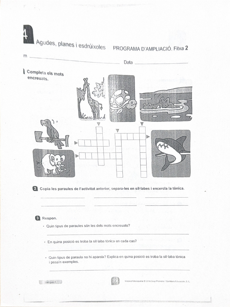 Agudes, Planes, Esdruixuoles 3r | PDF