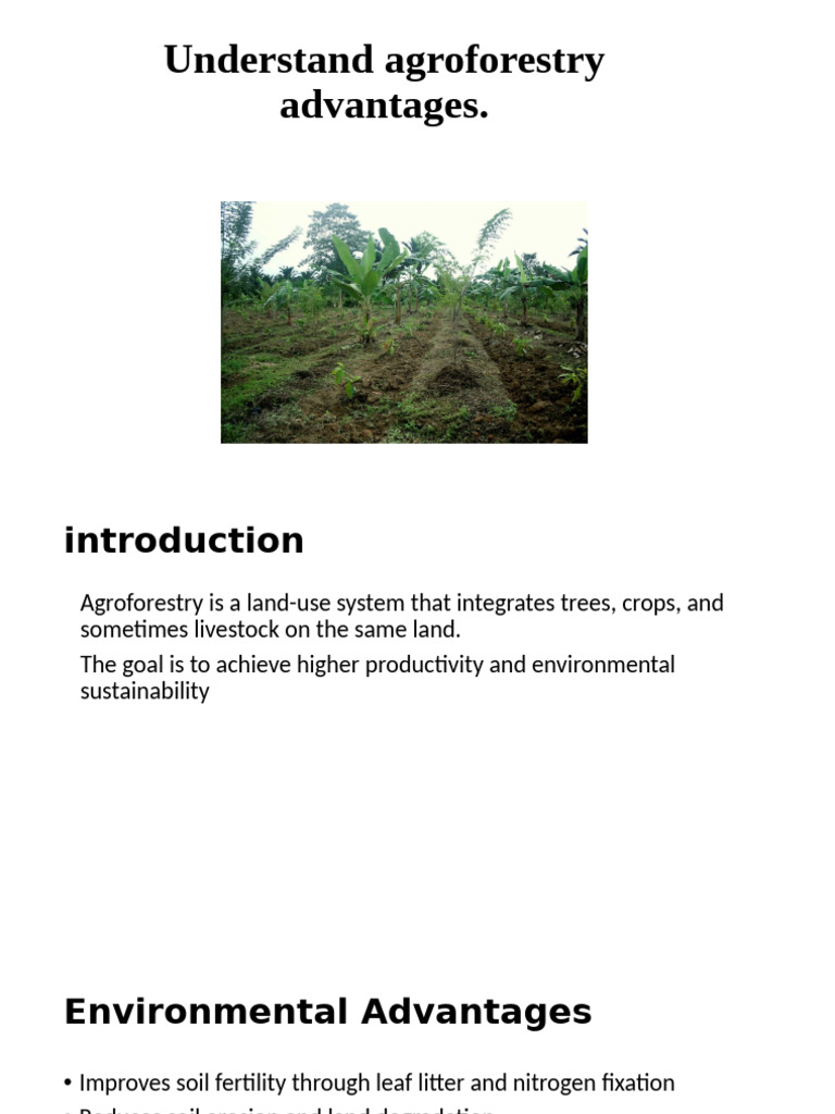 Benefits of Agroforestry Explained | PDF
