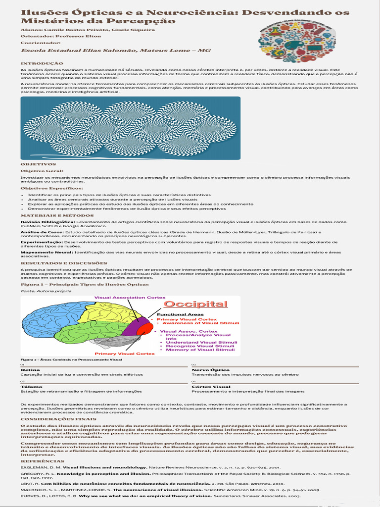 Ilusões Ópticas e Neurociência Visual | PDF | Percepção | Ilusão