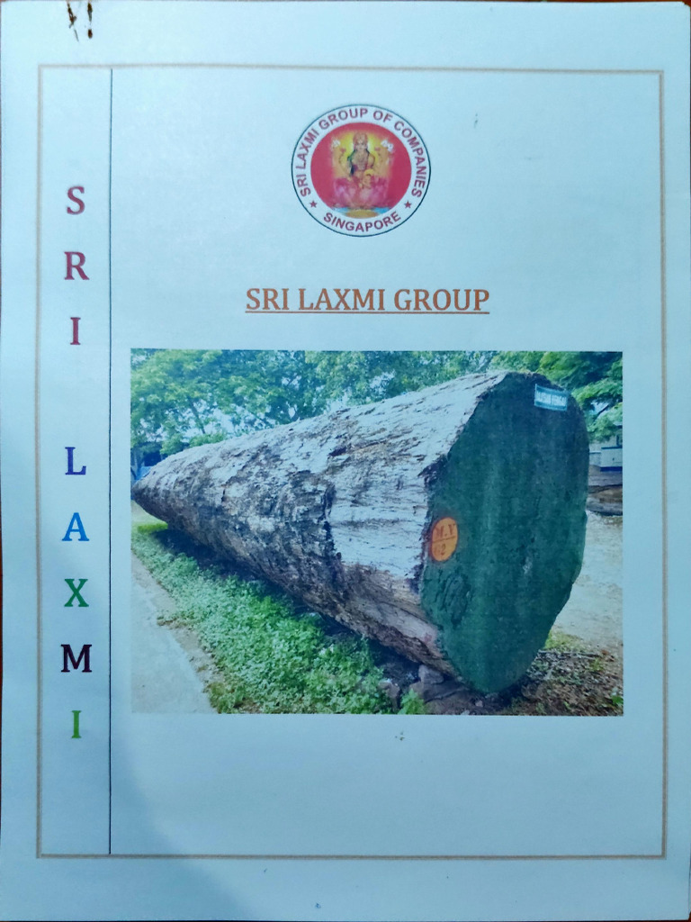 Laxmi Group | PDF