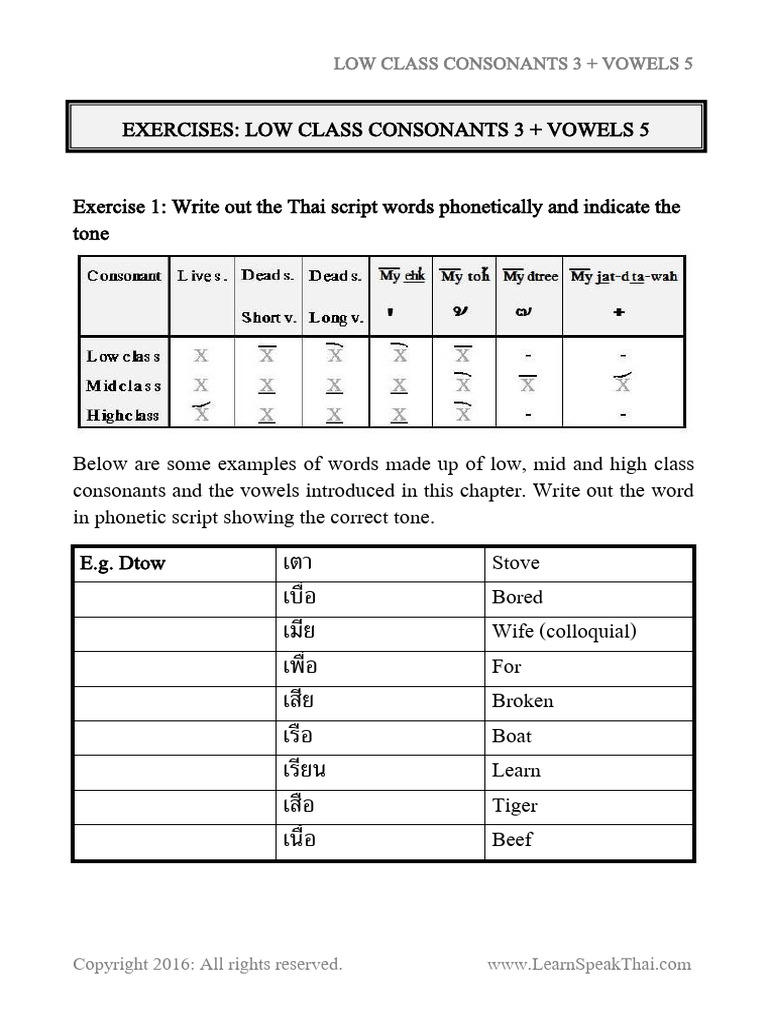Low Class Consonants 3 Vowels 5 Exercises | PDF