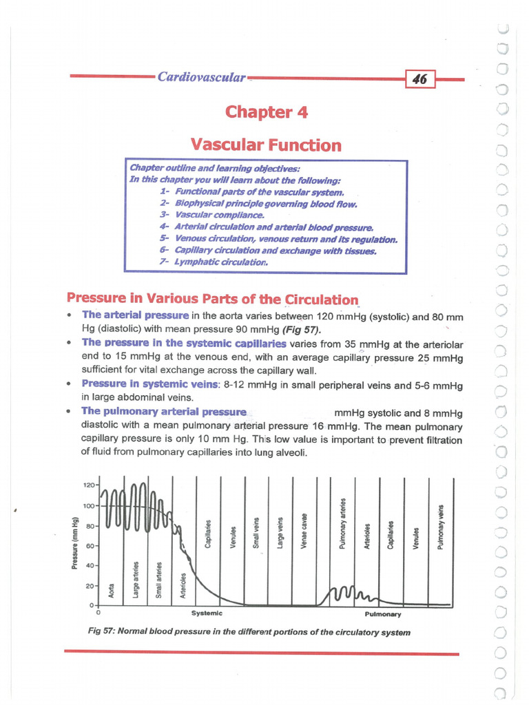 Physio Cardiovascular System - Extract4 | PDF