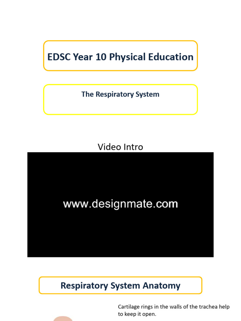 Powerpoint - Respiratory System | PDF | Respiratory System | Breathing