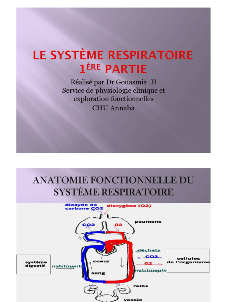 Fonctionnement du Système Respiratoire | PDF | Poumon | Respiration