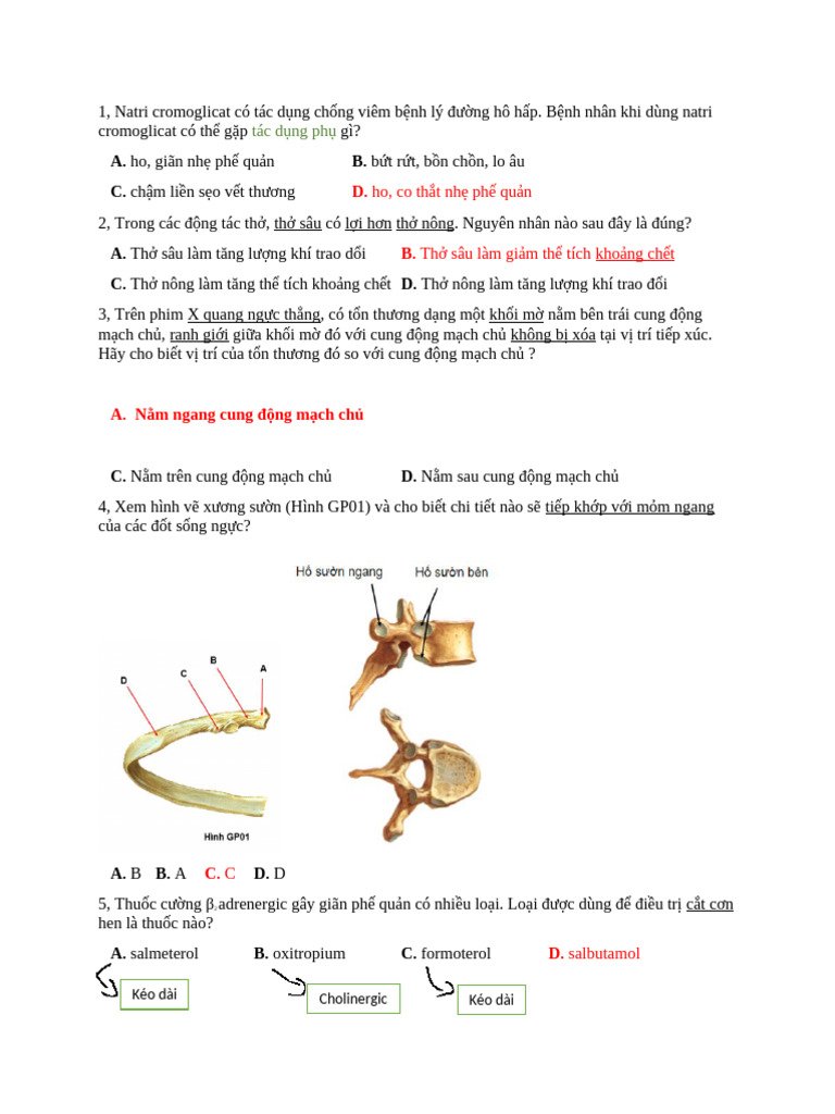 Ho Hap 2 | PDF
