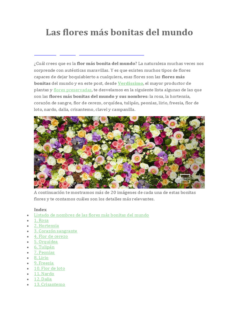 Los Colores Mas Bonitos | PDF