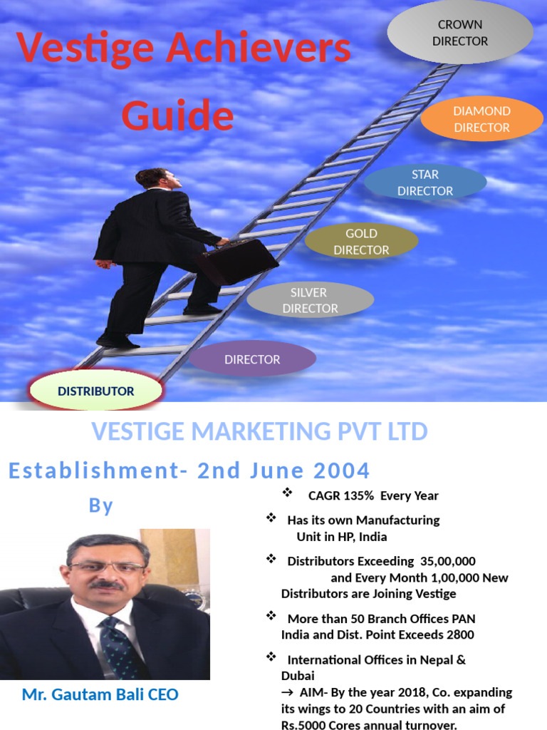 Vestige Achiver Succes Plan 1 | PDF | Economies