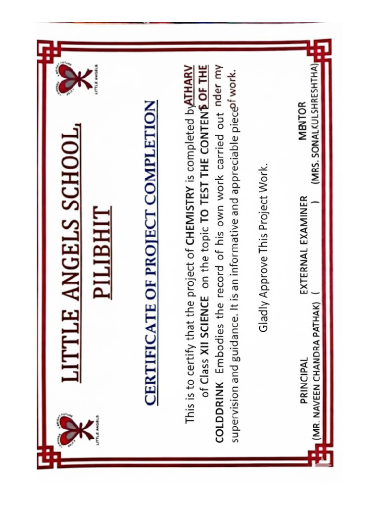 School Project 2 | PDF