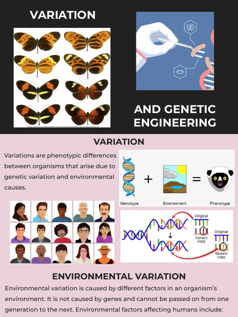 Genetic Variation and Engineering Insights | PDF | Mutation | Selective ...
