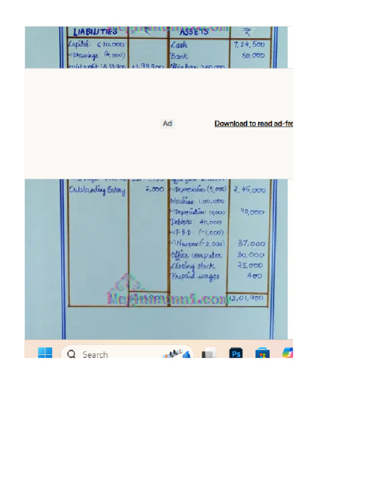 Accountancy Project | PDF