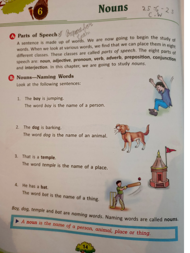 English Grammar Basics | PDF