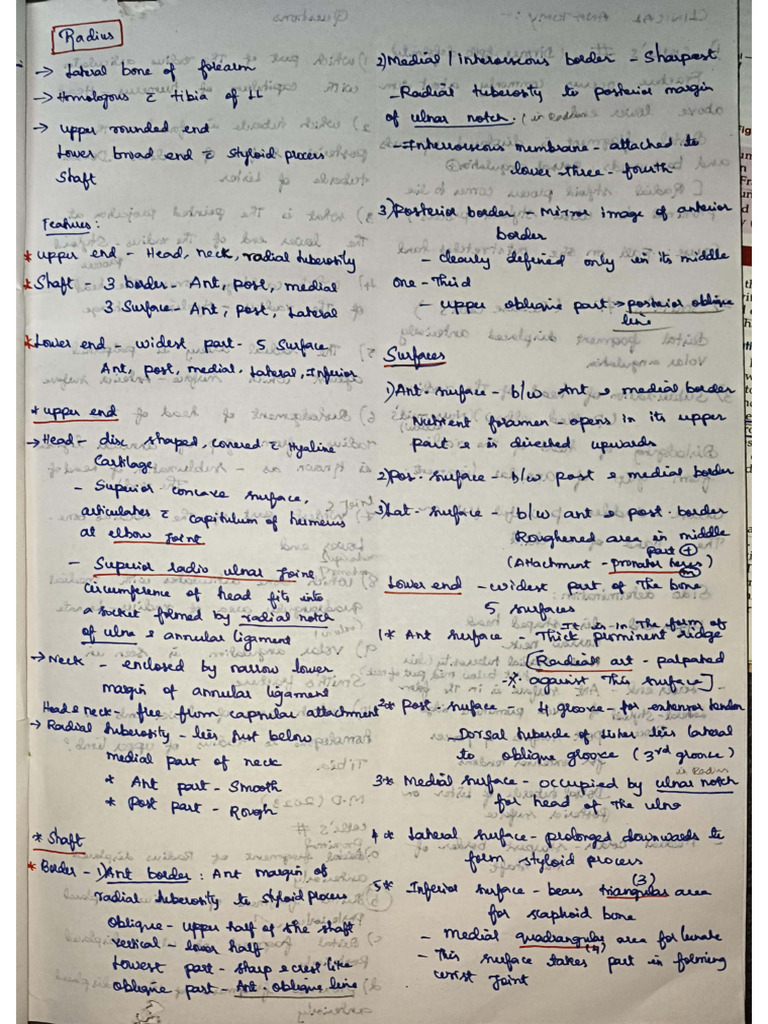 Radius Anatomy Notes 250730 223518 | PDF