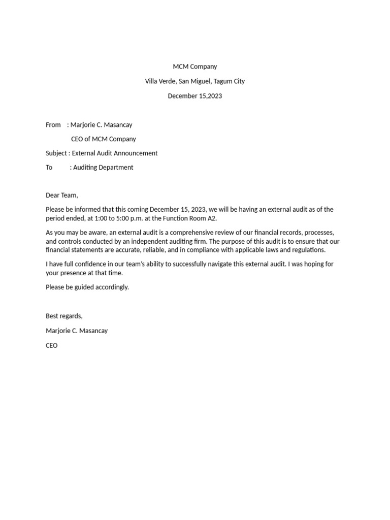 External Audit Memo | PDF