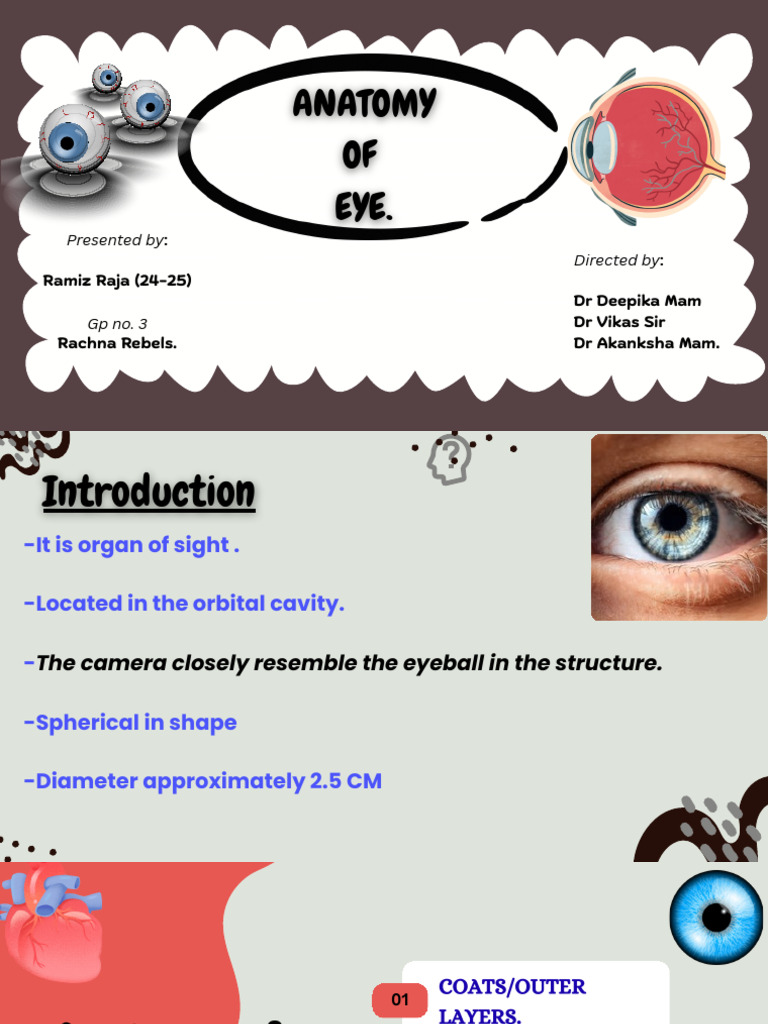 Anat of Eye - Ramiz | PDF | Human Eye | Eye