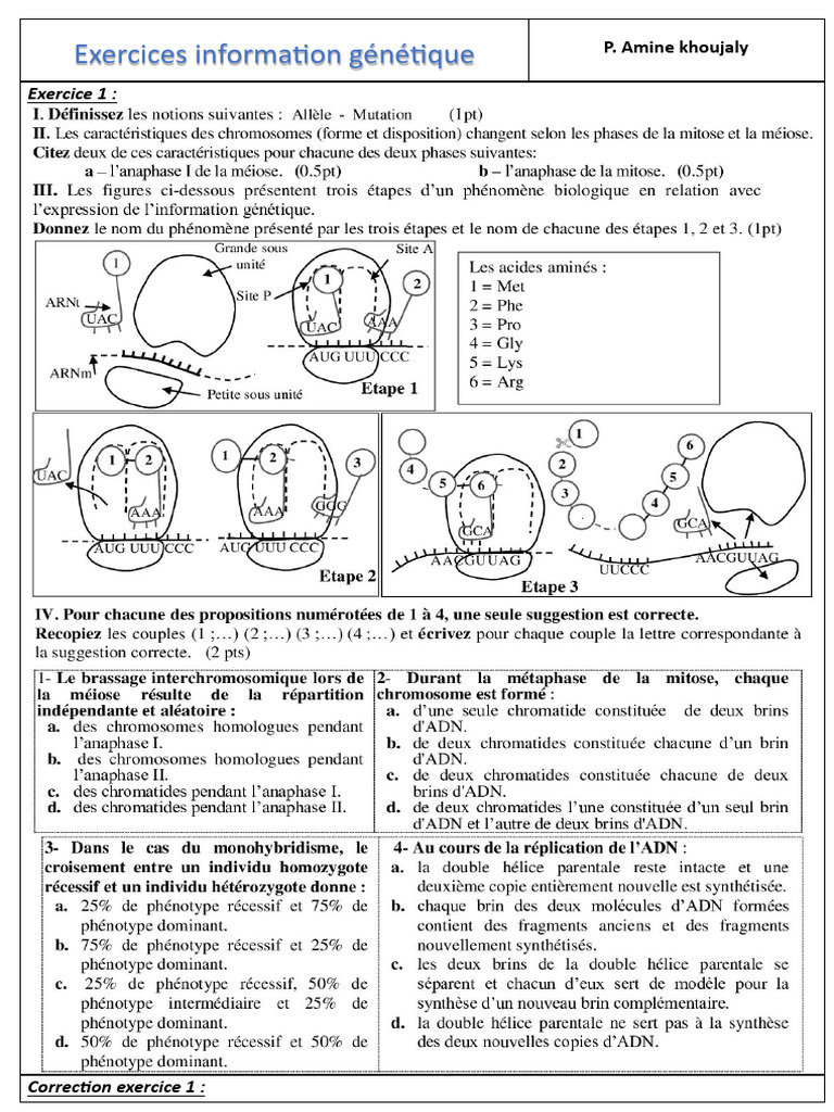 Exercices de génétique et corrections | PDF
