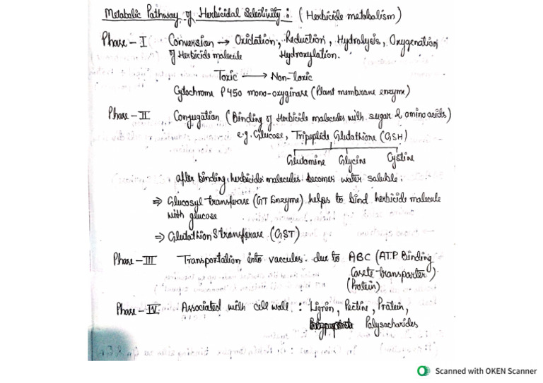 Metabolic Pathway of Herbicides | PDF