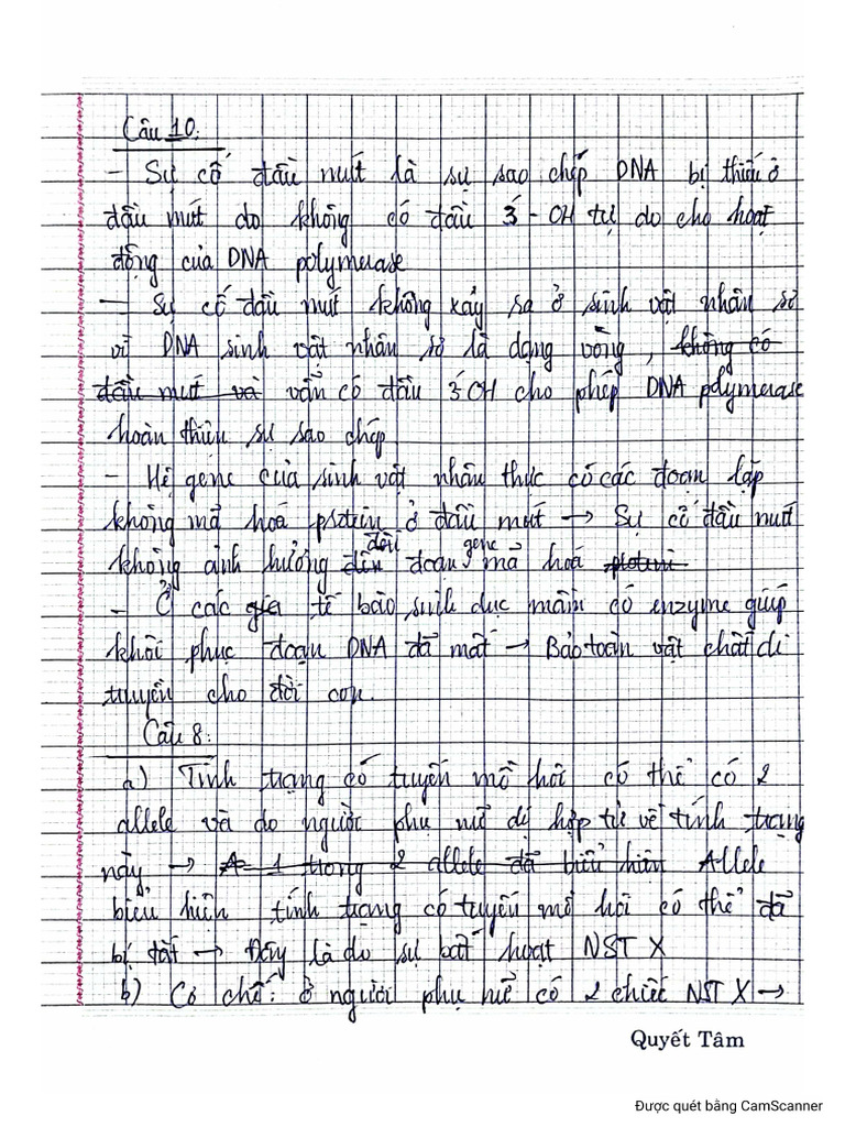 Bài Test Khóa 10 | PDF