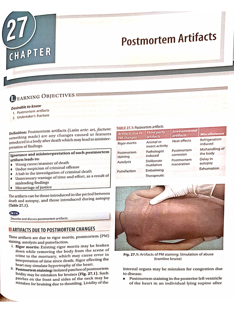 Understanding Postmortem Artifacts | PDF | Autopsy | Medical Specialties