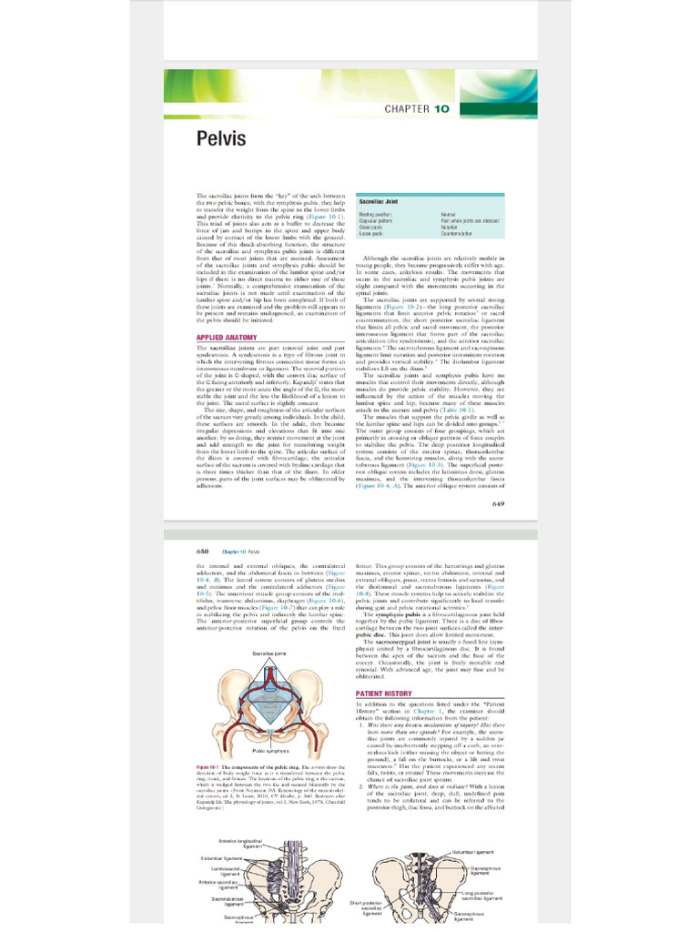 Ortho Quiz | PDF