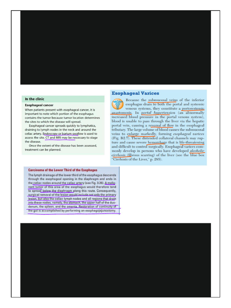 Anatomy Clinicals (Block3 Module1) | PDF | Heart | Angiography