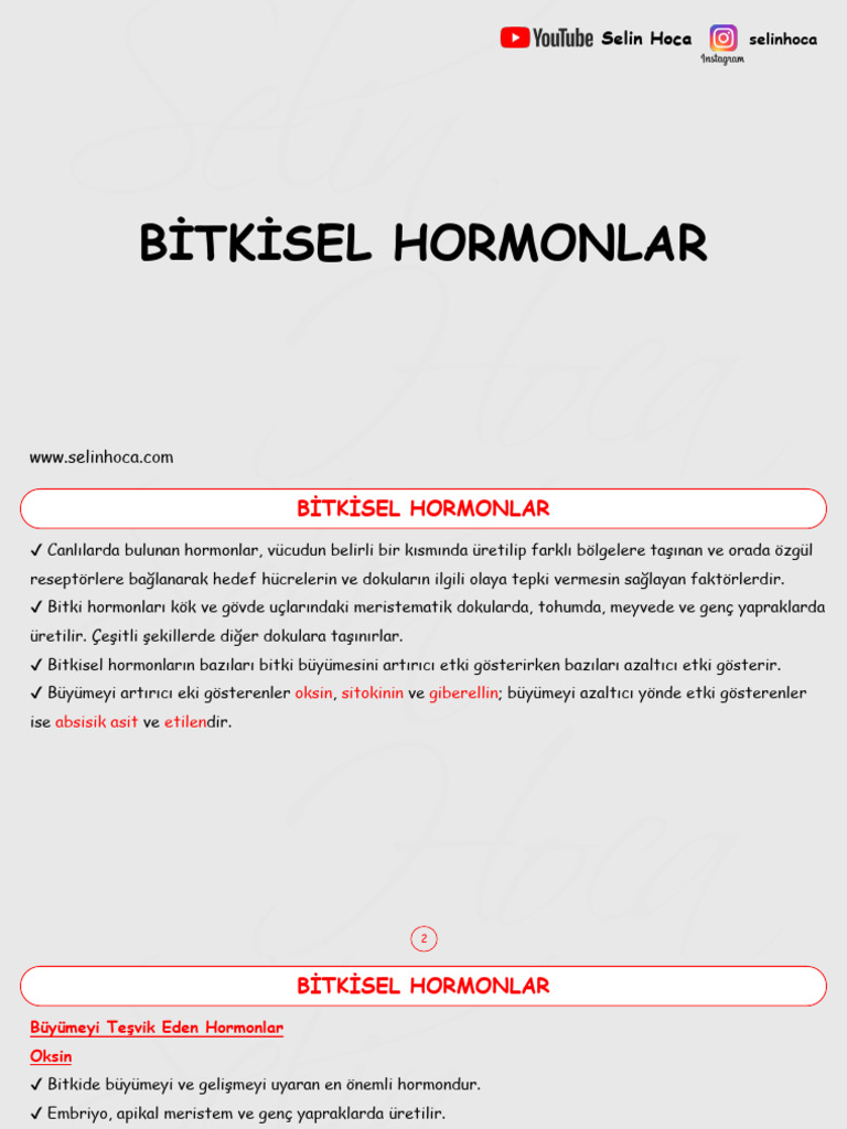21) Bitkisel Hormonlar | PDF
