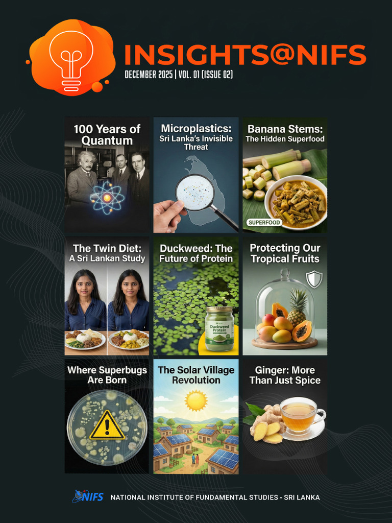 Insights@NIFS Vol 01 Issue 02 - December 2025 | PDF | Quantum Mechanics ...