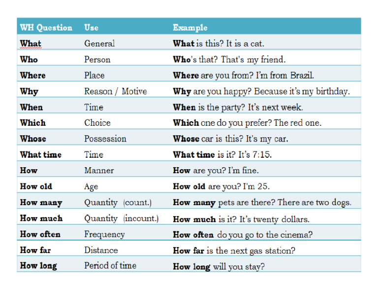 WH and How Questions | PDF