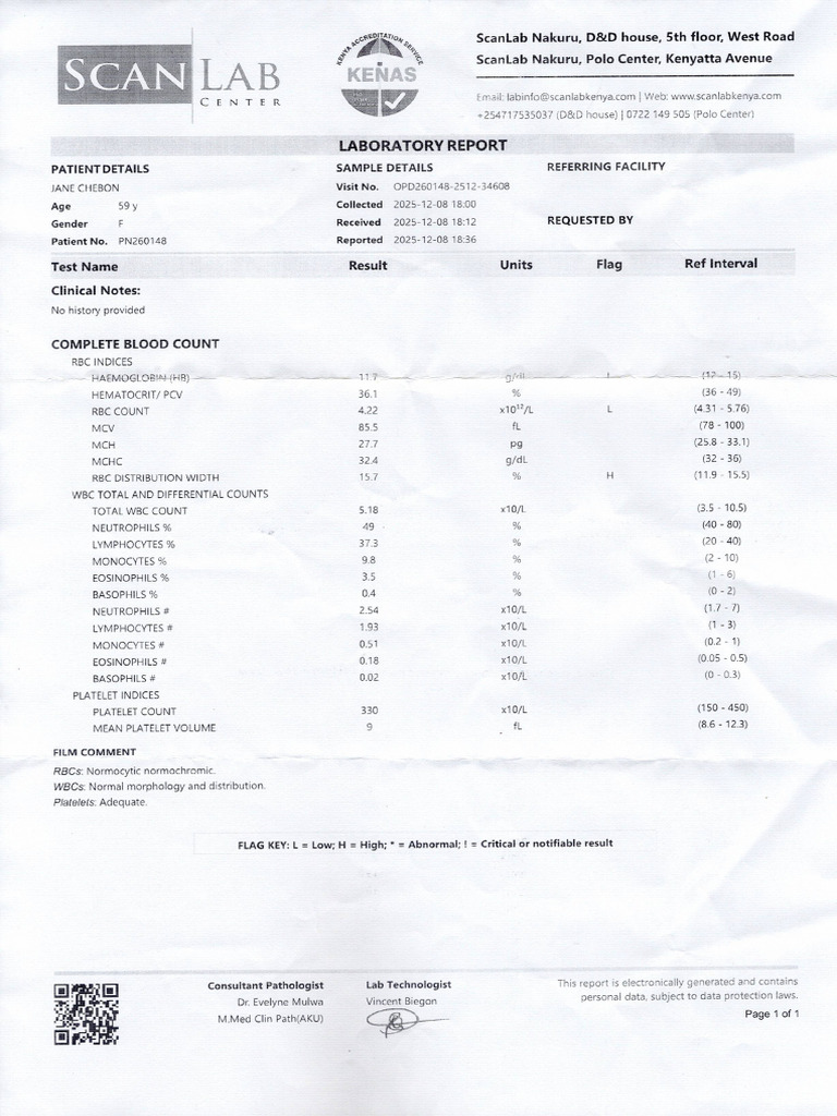 Scan Lab | PDF