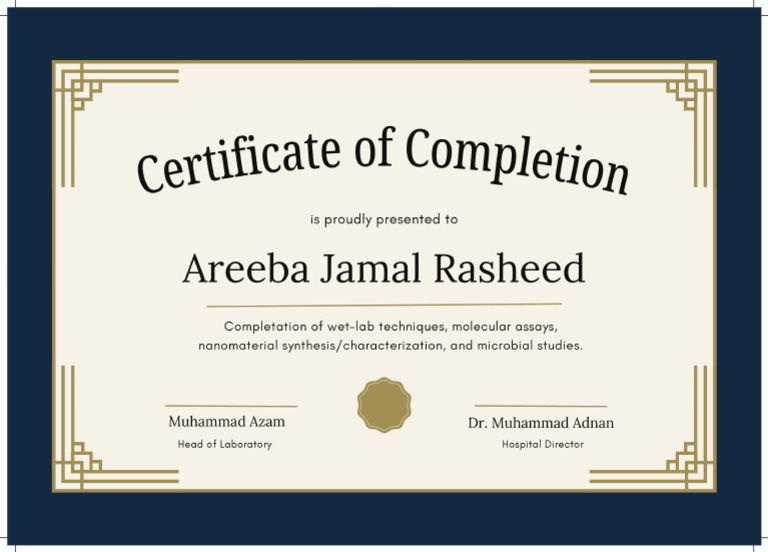 Beige and Cream Geometric Bordered Completion Certificate | PDF
