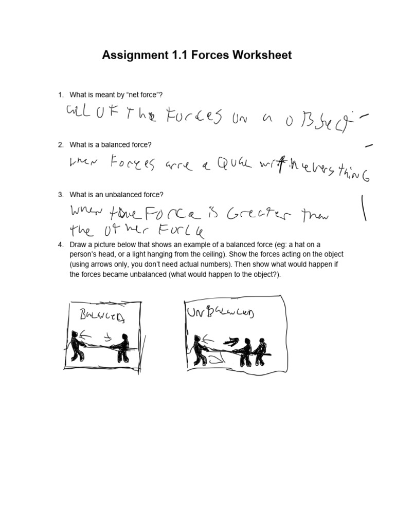 Forces Worksheet: Net and Balanced Forces | PDF
