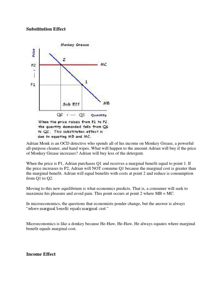 Substitution Effect | PDF | Scientific Theories | Consumers