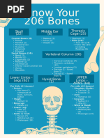 Complete List of 206 Human Bones | PDF | Vertebra | Toe